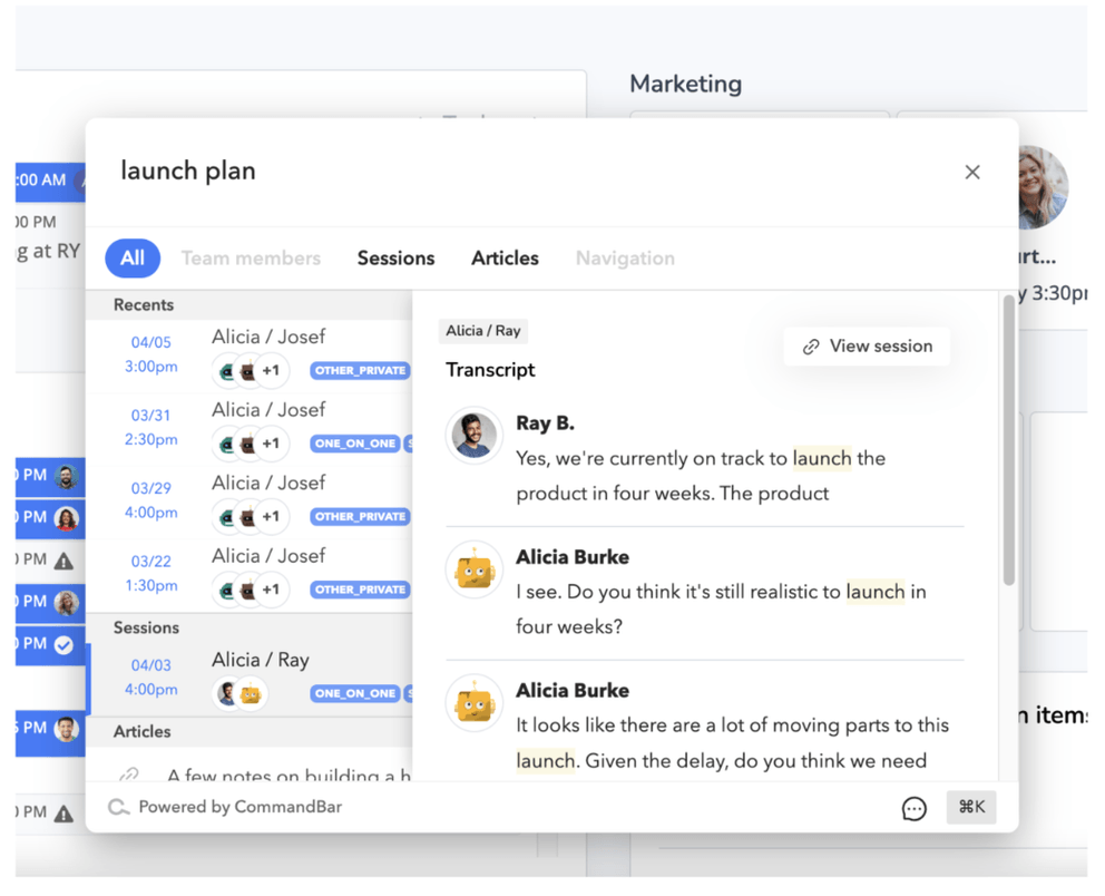 Meeting insights — Nyota.ai